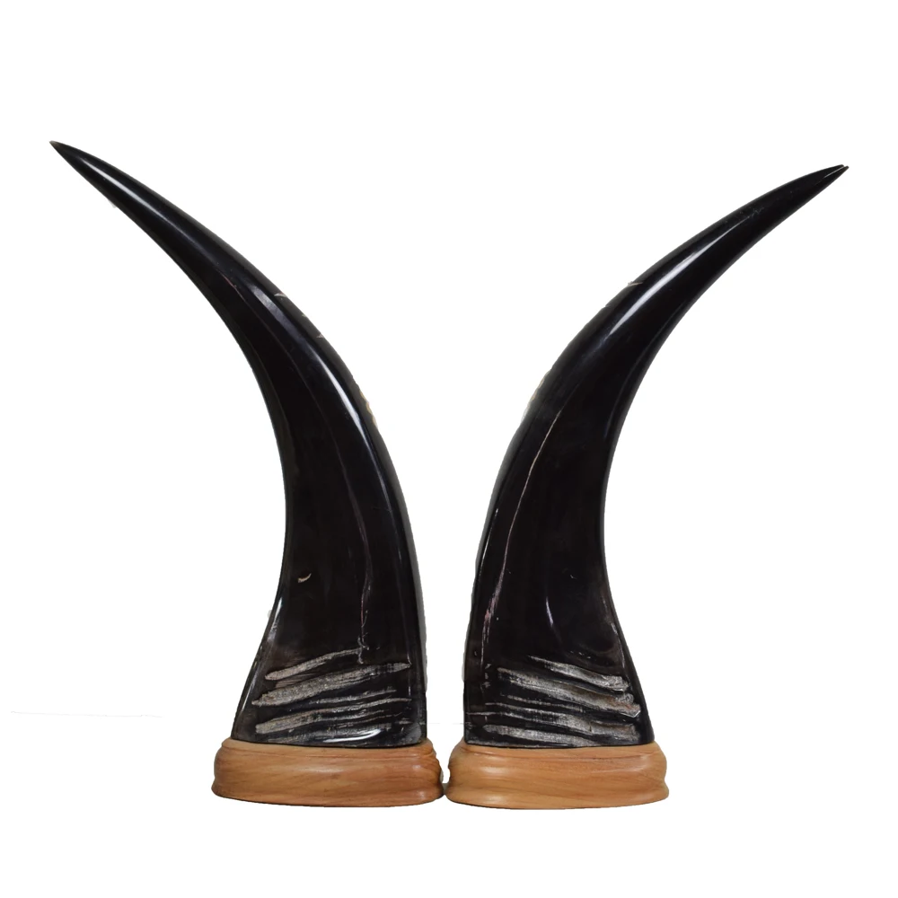 Decorative Horn Real Buffalo Horn Wooden Base Home Table Natural Horn ...