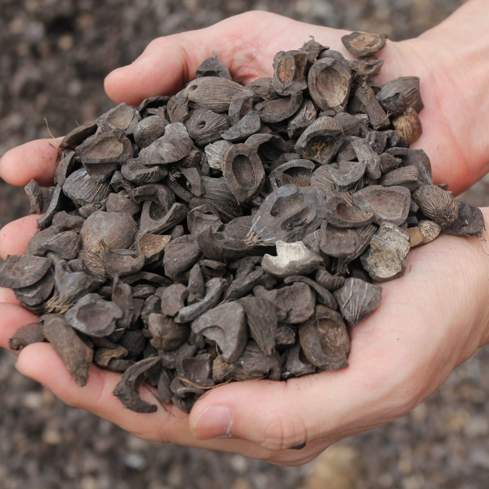 High Quality Palm Kernel Shell Charcoal - Buy Palm Kernel Charcoal ...