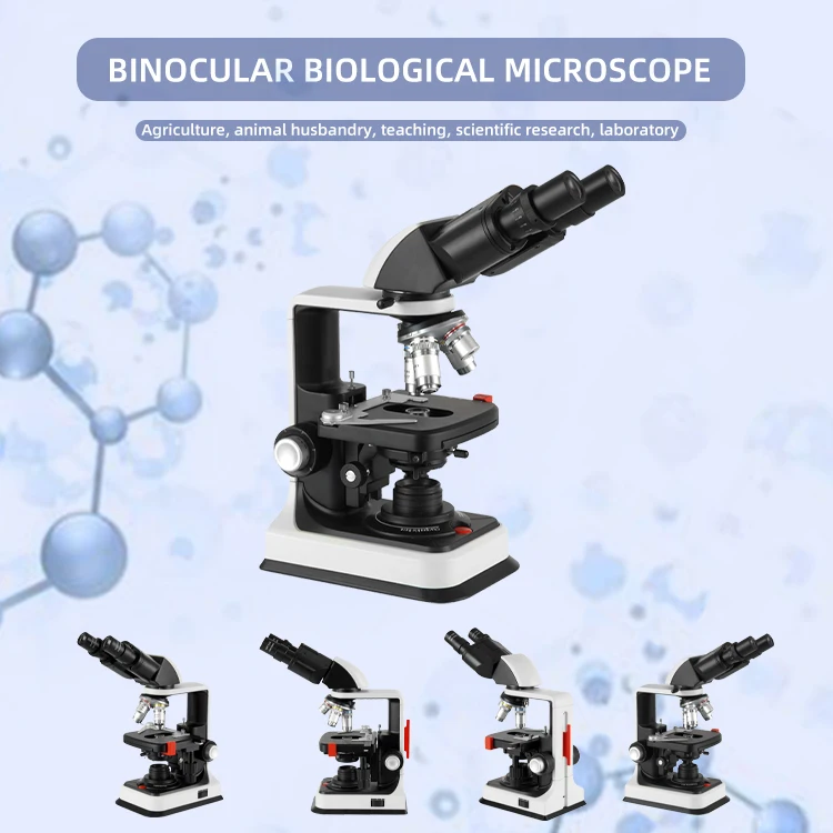 1000X Compound Optical Binocular Microscope for School & Lab Use for ...