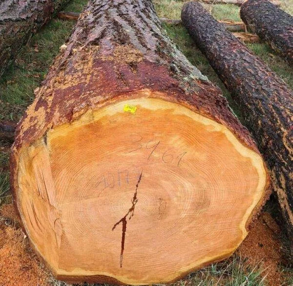 Alibaba.com: Sustainable Oak Wood Logs, Hardwood Export in Bulk, Ideal for Furniture & Flooring ...