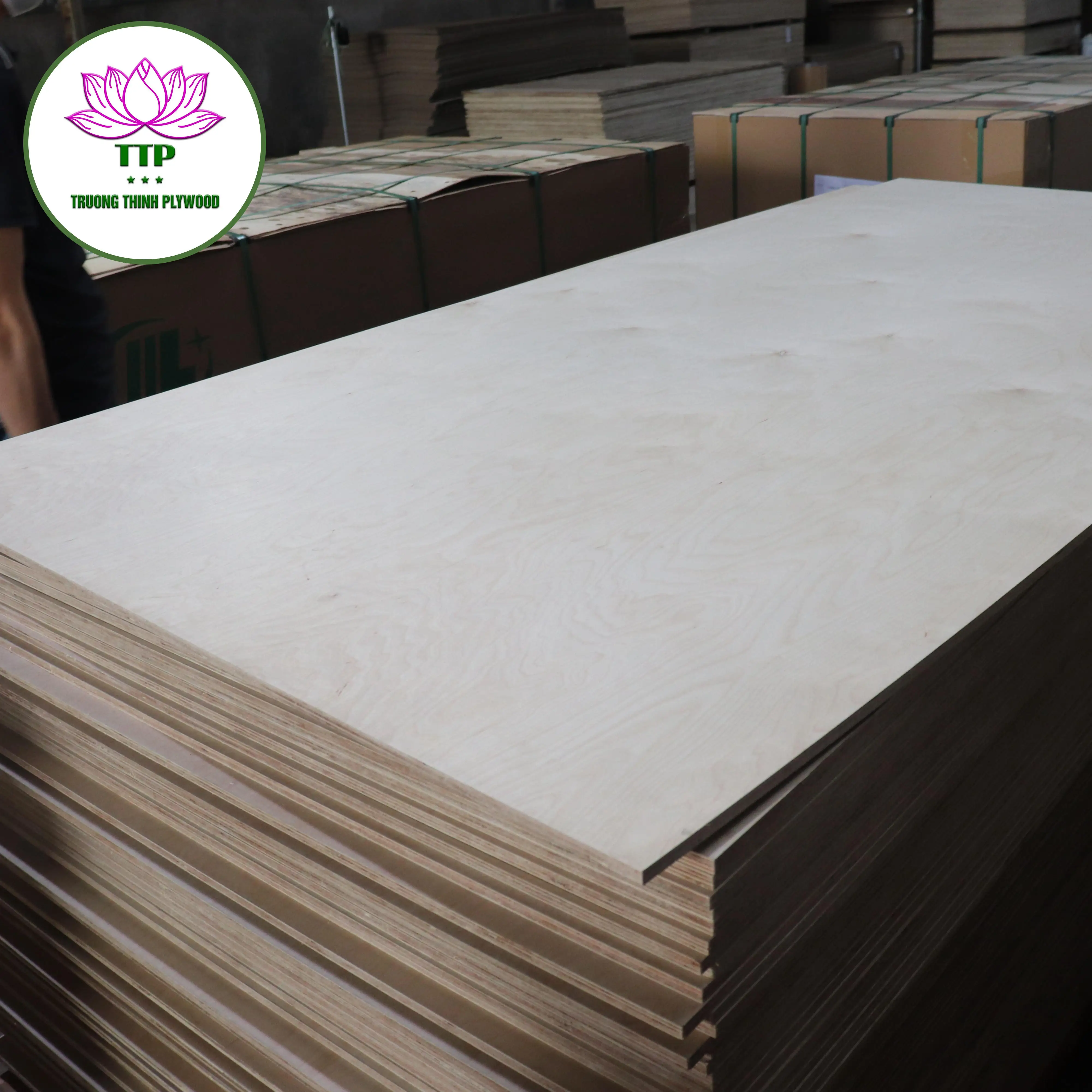 Plywood Glue For Furniture at Tracy Dibenedetto blog