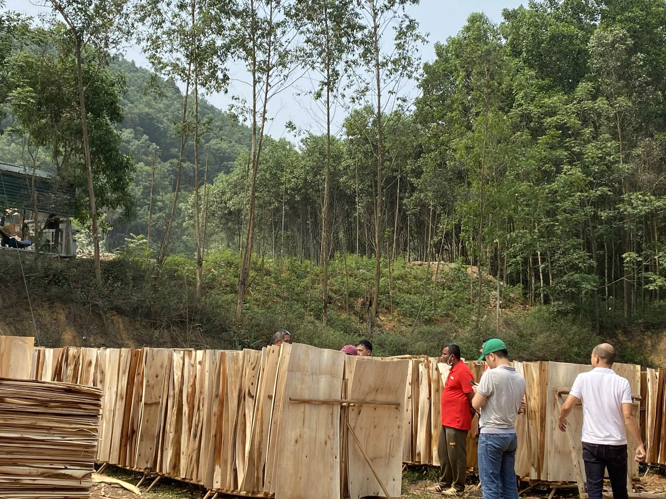 Industrial Design Eucalyptus Wood Core Veneer 1.7mm Thick For Outdoor ...