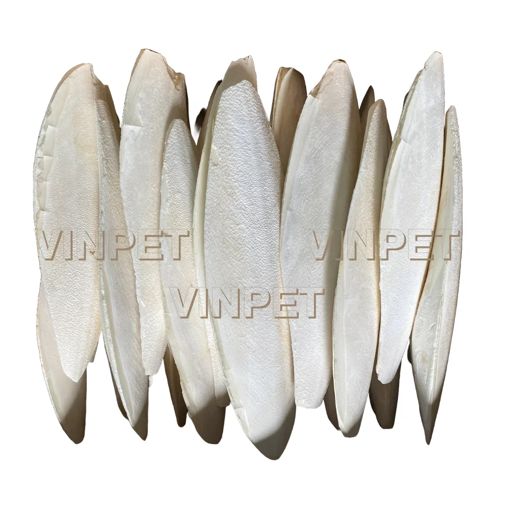 7- Cuttlefish Bone Calcium For Reptiles Birds Snals In Full Color Box ...