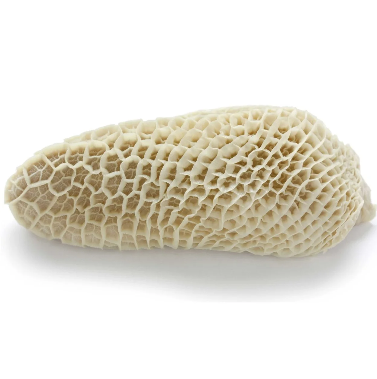 Beef Omasum | Frozen Beef Tripe /buy Halal Top Quality Frozen Beef ...