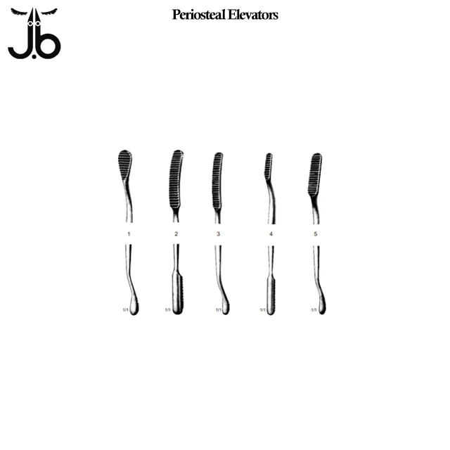 Dental Periosteal Elevators Dental Equipments High Quality Dental ...
