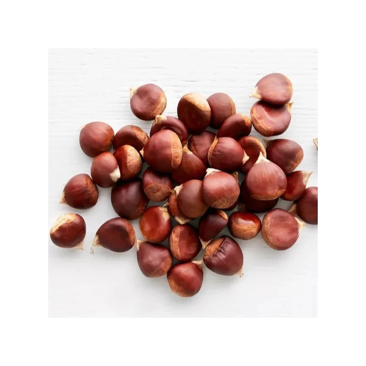 Fresh Chestnut For Roasted Chestnuts Not Chestnut Peeling Machine - Buy ...
