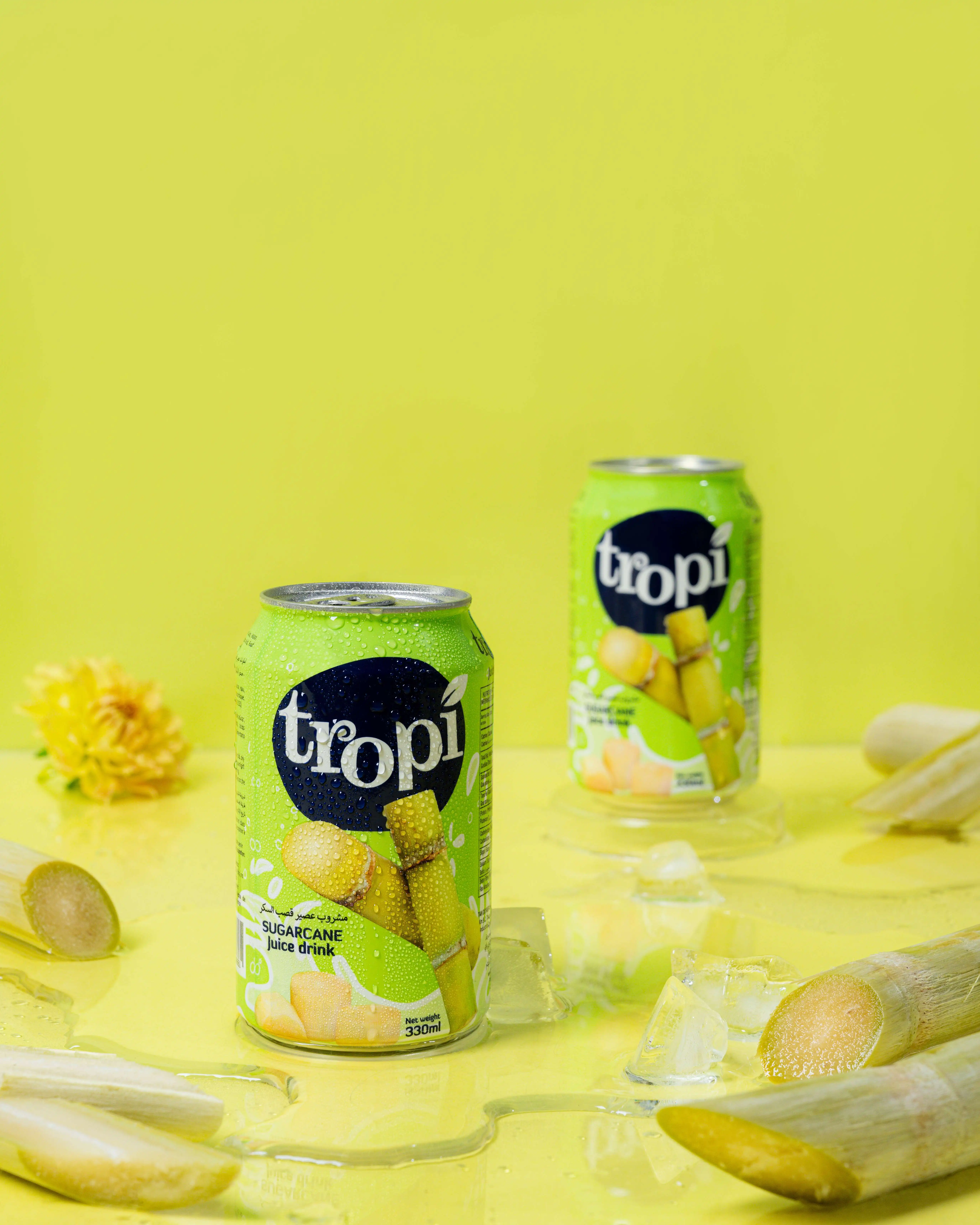 Leading Vietnamese Beverage Manufacturer's Soursop TROPI Fruit Juice ...