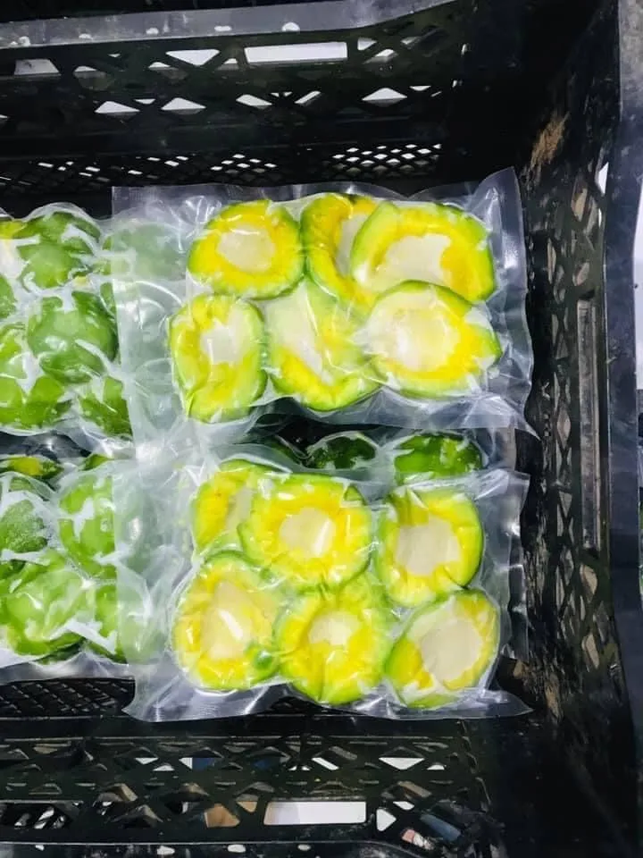 IQF FROZEN AVOCADO CHUNKS FOR EXPORT FROM VIETNAM SUITABLE FOR ...