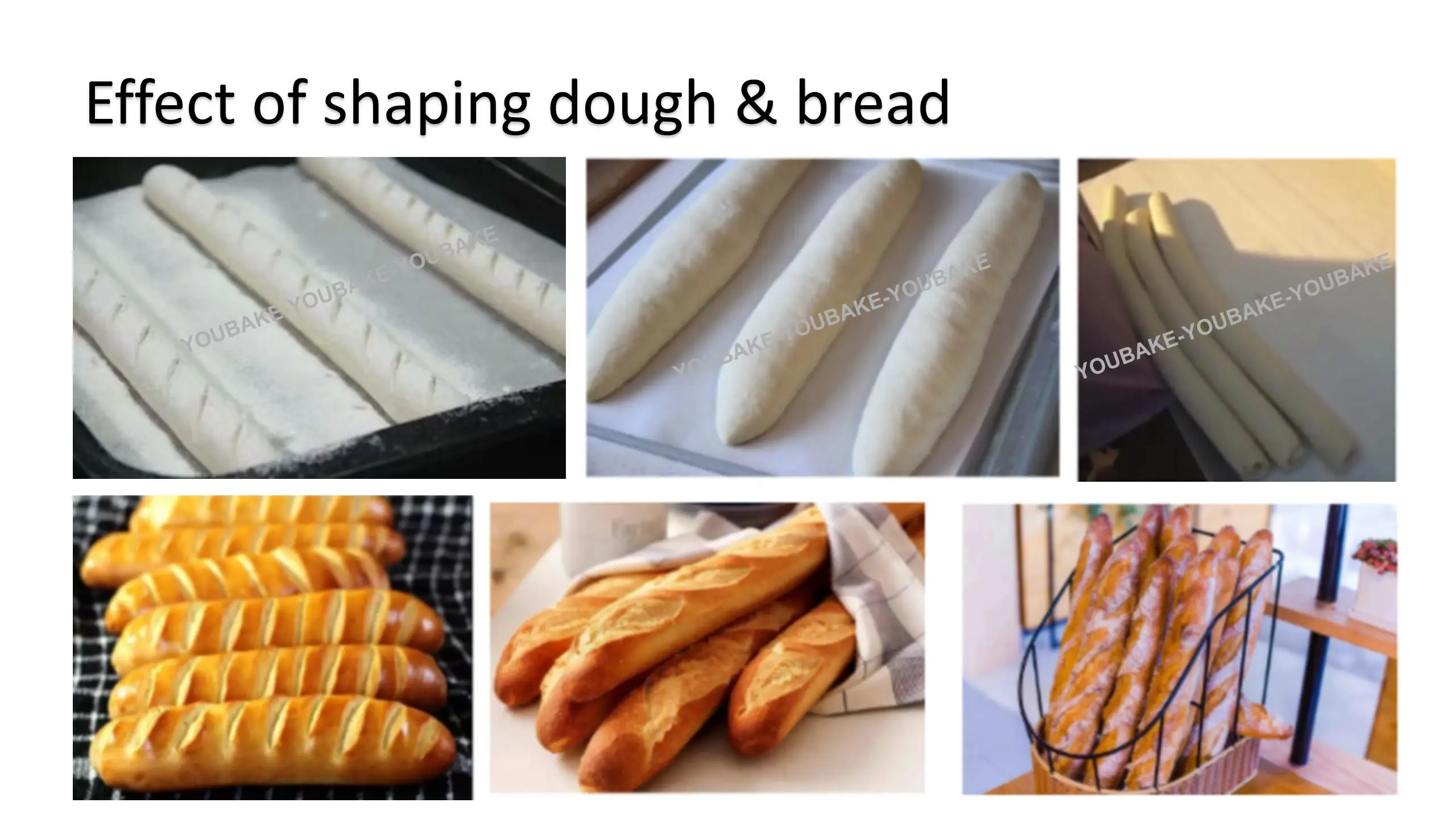 Formadora De Pan - Efficient Dough Moulding Machine