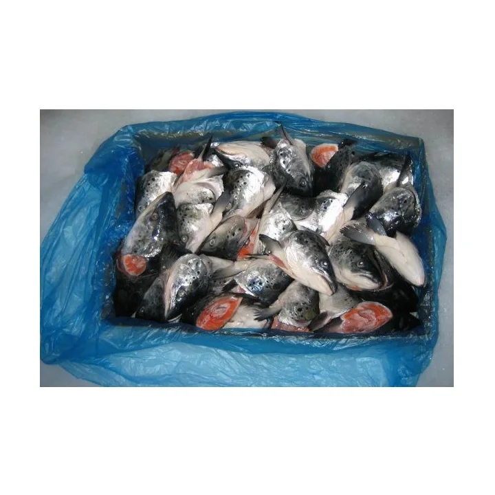Pure Quality Frozen Salmon Fish Heads 450gr+ France Supplier Bulk ...