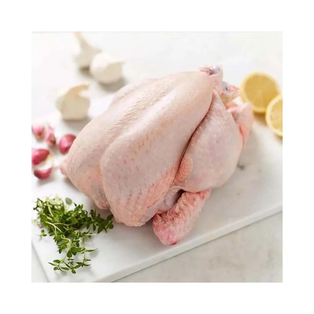 High Quality Chicken Frozen Wholesale Cheap Price From Brazil Halal ...