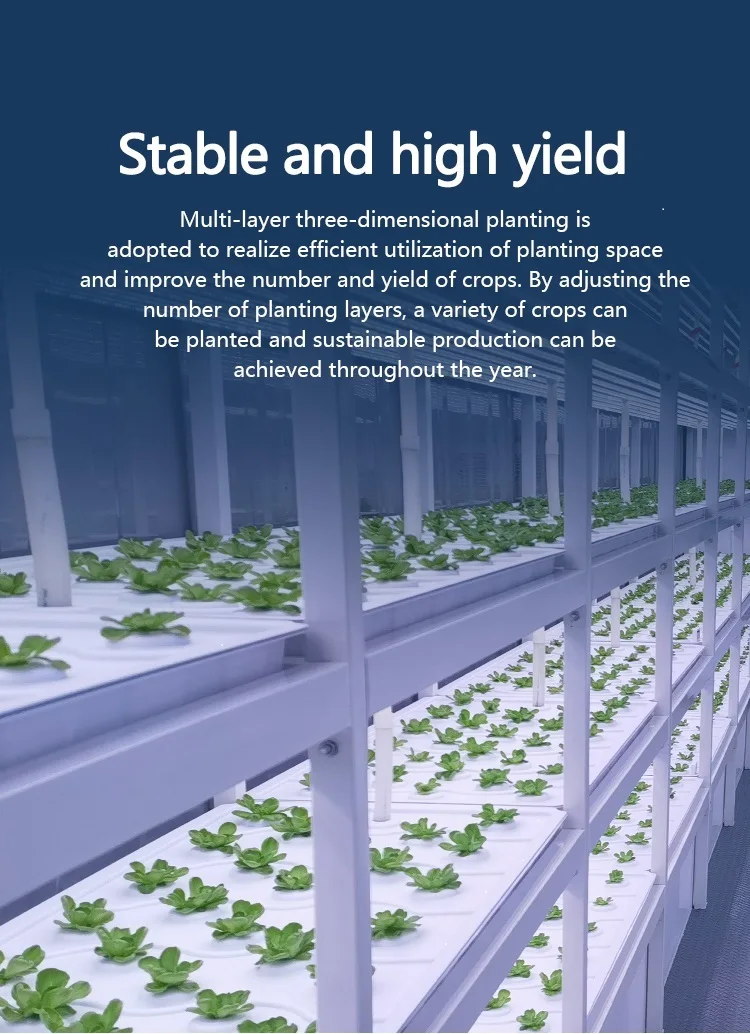 Container Plant Factory The Intelligent Plant Container Farming - Buy ...