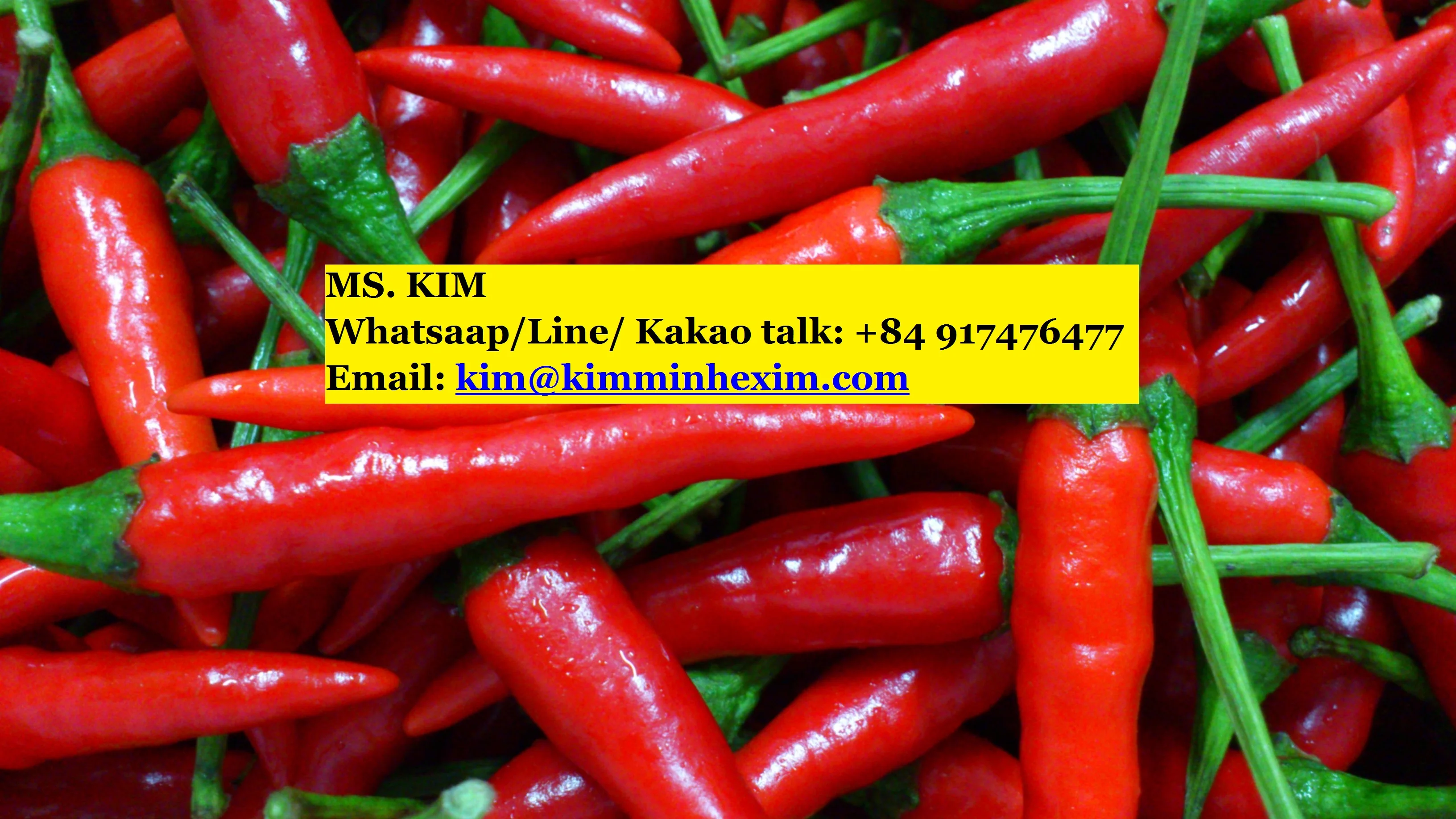 Fresh Red Chili/ Fresh Small Red Chili - Buy Fresh Red Chili,Dried Red ...