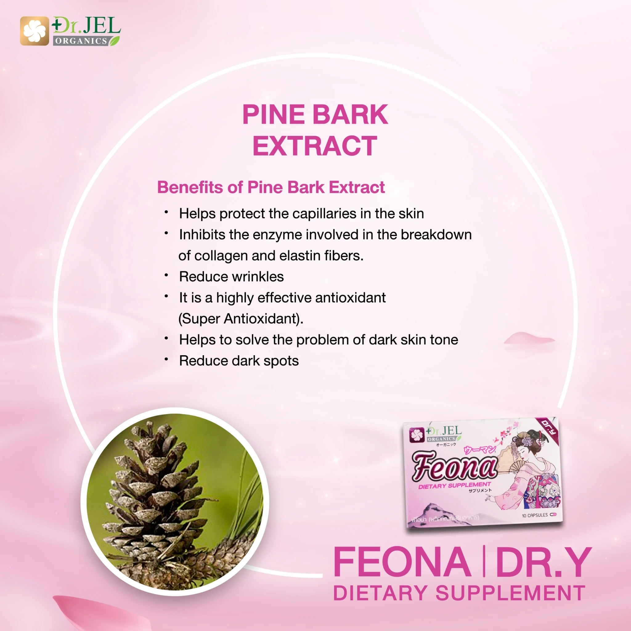 Feona Food Dietary Supplements For Women Extracted From Natural ...