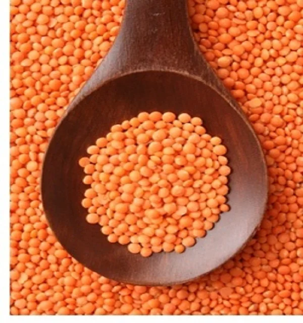 Quality Bulk Dried /lentils Red Lentils Green Lentils Brown Lentils ...