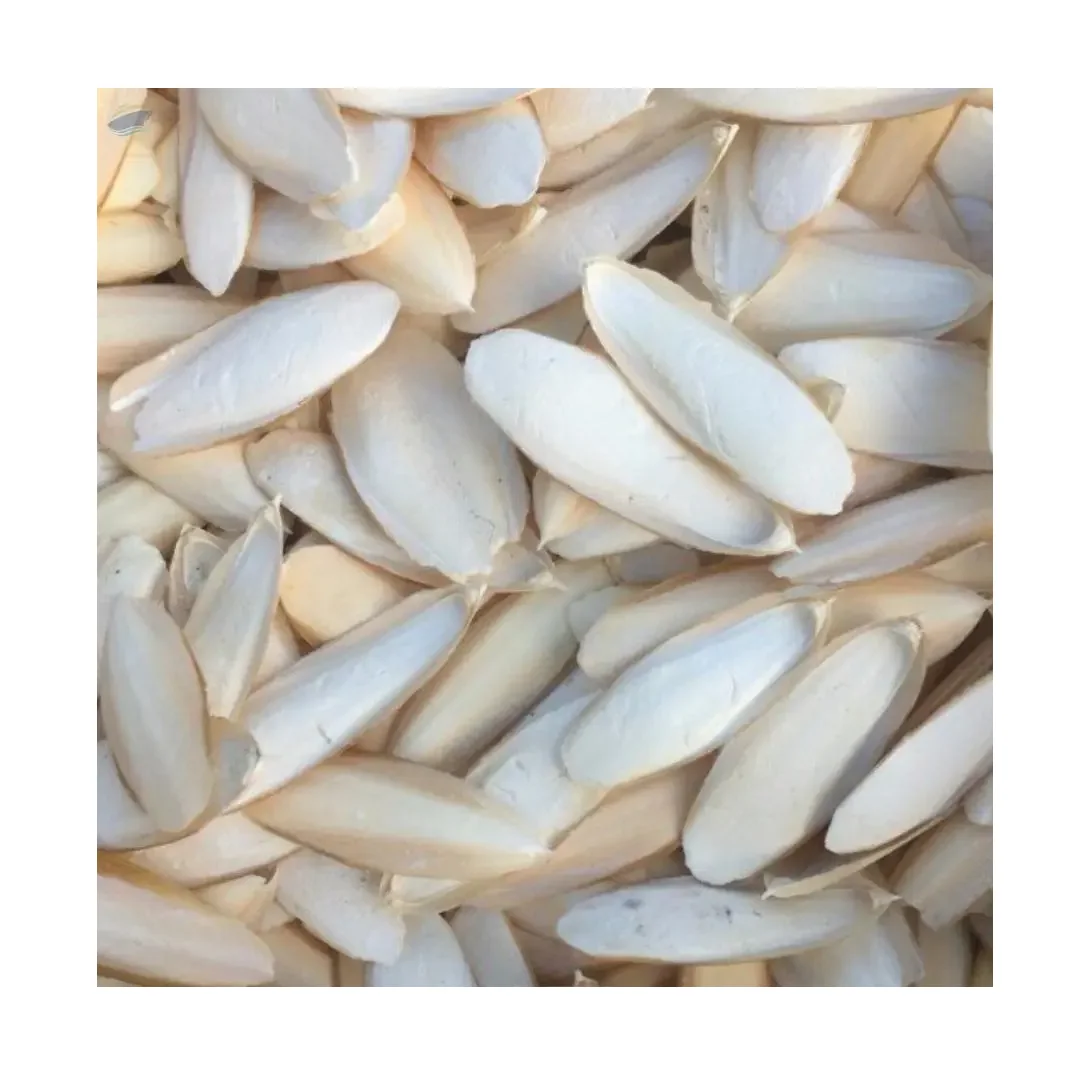 High Quality Dry Cuttlefish Bone Cuttlebone 100% Natural Cuttlefish ...