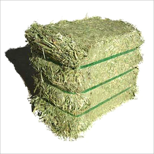 Alfalfa Hay For Animal Feeding And Seeds Cheap Alfalfa Hay Bales ...