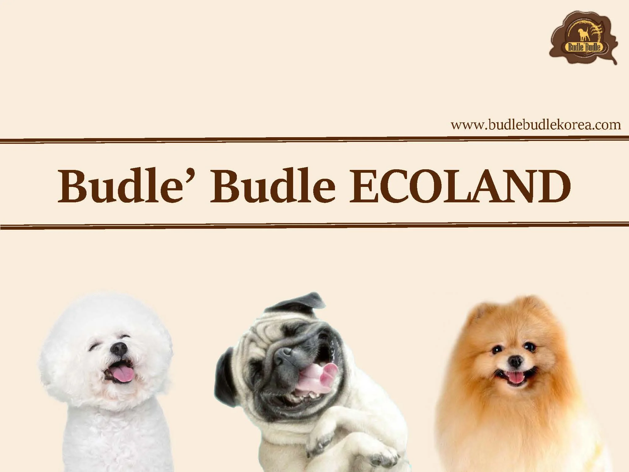 Fresh Breath Deodorizing Korean Manufactured Mild Ingredients Budle ...