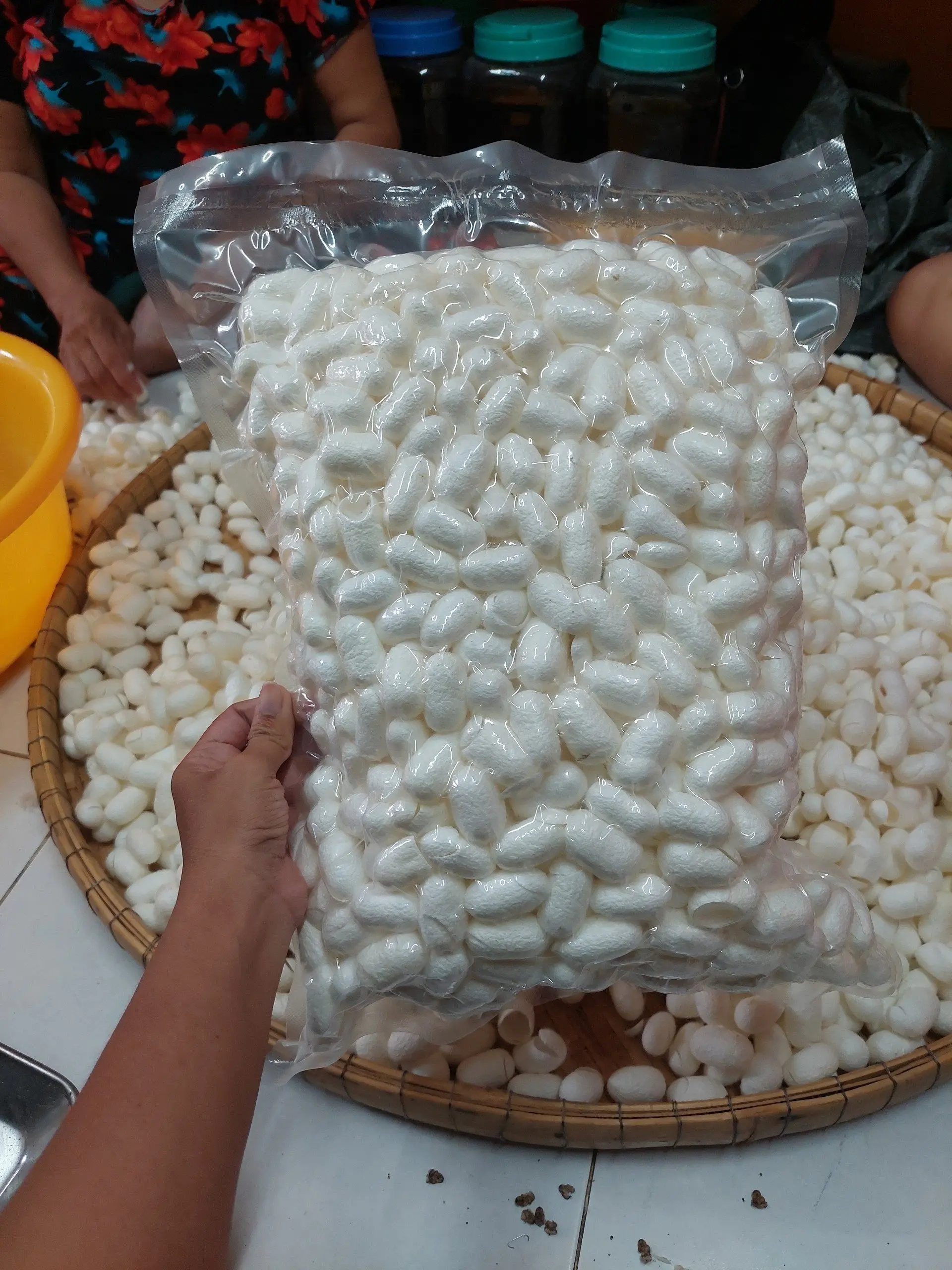 Alibaba.com: HOT SALE 2024 Silkworm Cocoons from Vietnam, high quality ...