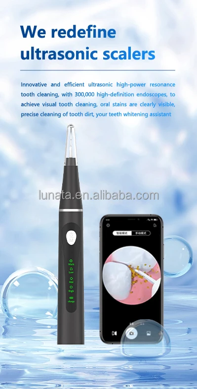 Teeth Whitening Dental Cleaning Device Plaque Remover Tartar Calculus ...