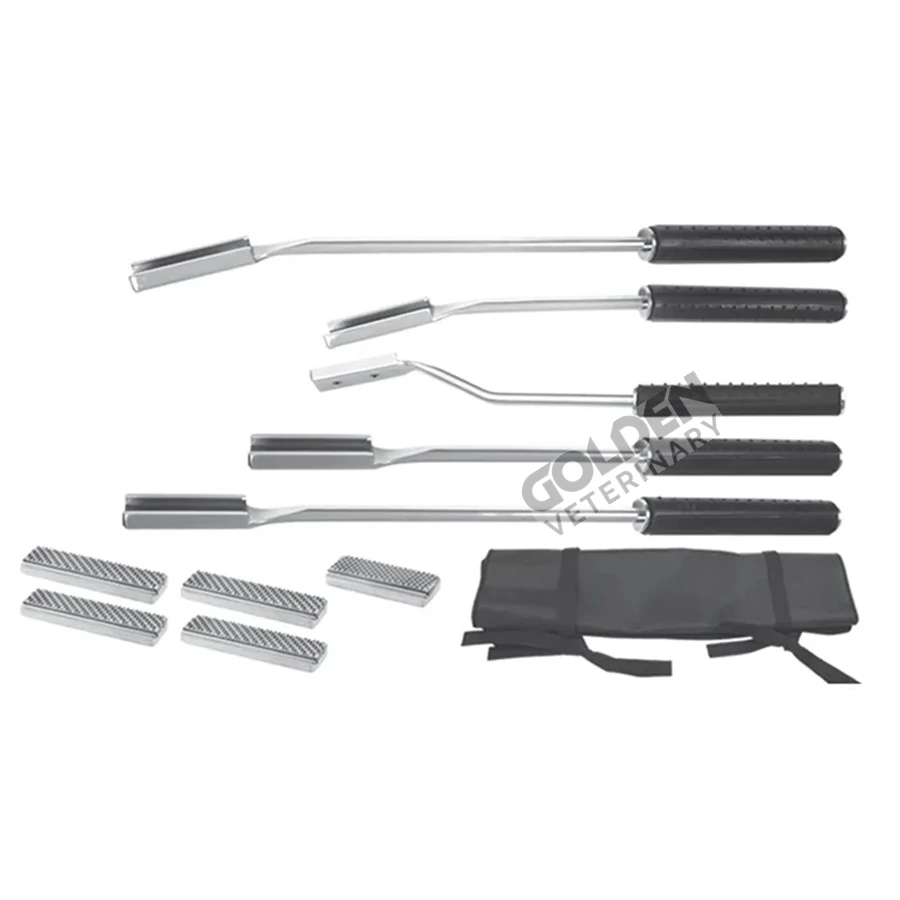 Burgess Wolf Tooth Elevator 9 Piece Kit With Plastic Box Equine Dental ...