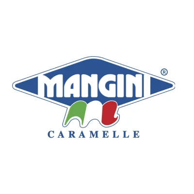 Company Overview - MANGINI S.P.A.