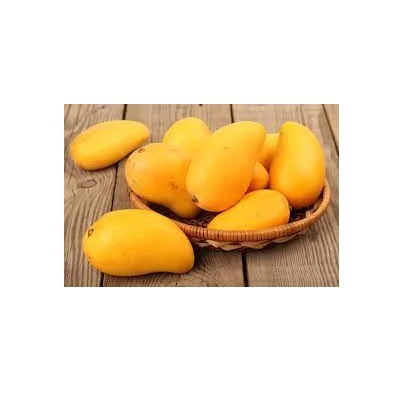 Fresh Mango Fruit Ready To Export Mangoes - Buy Bulk Fresh Fruit ...