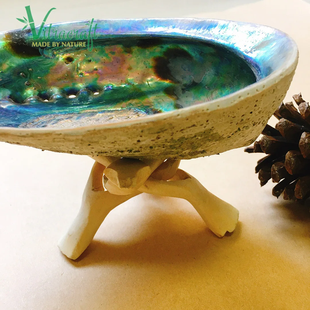 Large Rainbow Abalone Shell. Perfect For Smudging,Smudge Bowl,Large ...