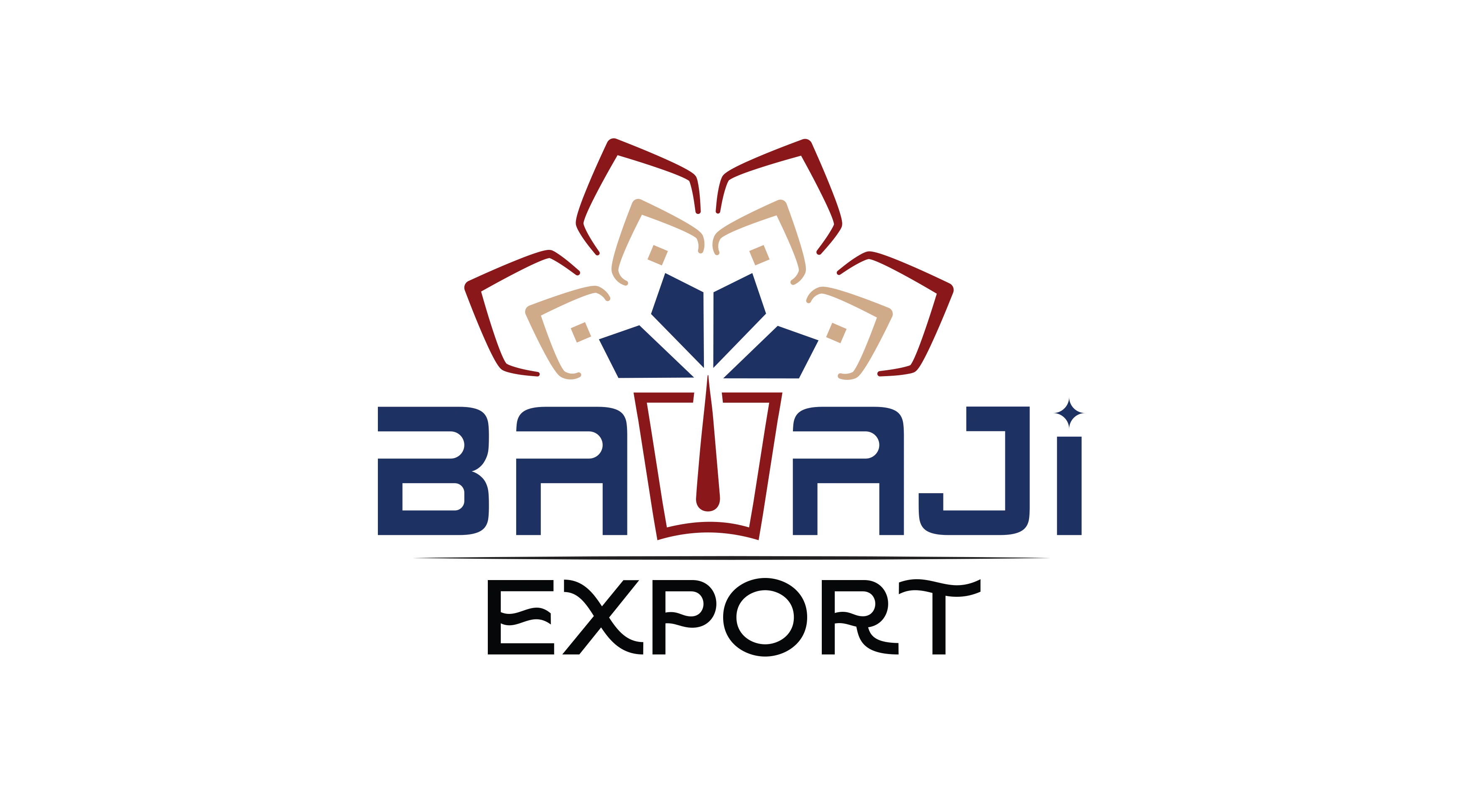 Company Overview - BALAJI EXPORT