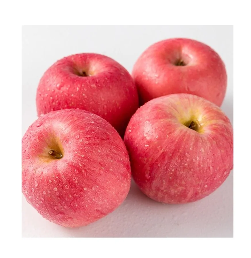Fresh Fruit Apples Available At Cheapest Price In Bulk Stock - Buy ...