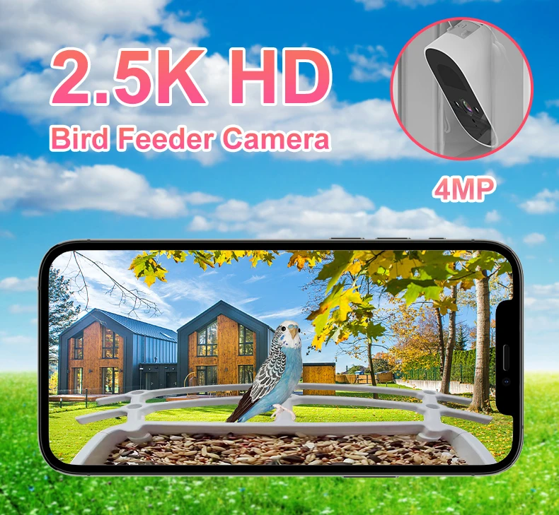 Wholesale Factory Ai Intelligent Automatic Bird Feeder With Camera ...
