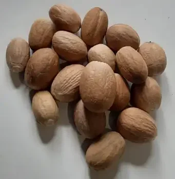 Nutmeg Abcd Originate From Indonesia With Best Quality Export For ...