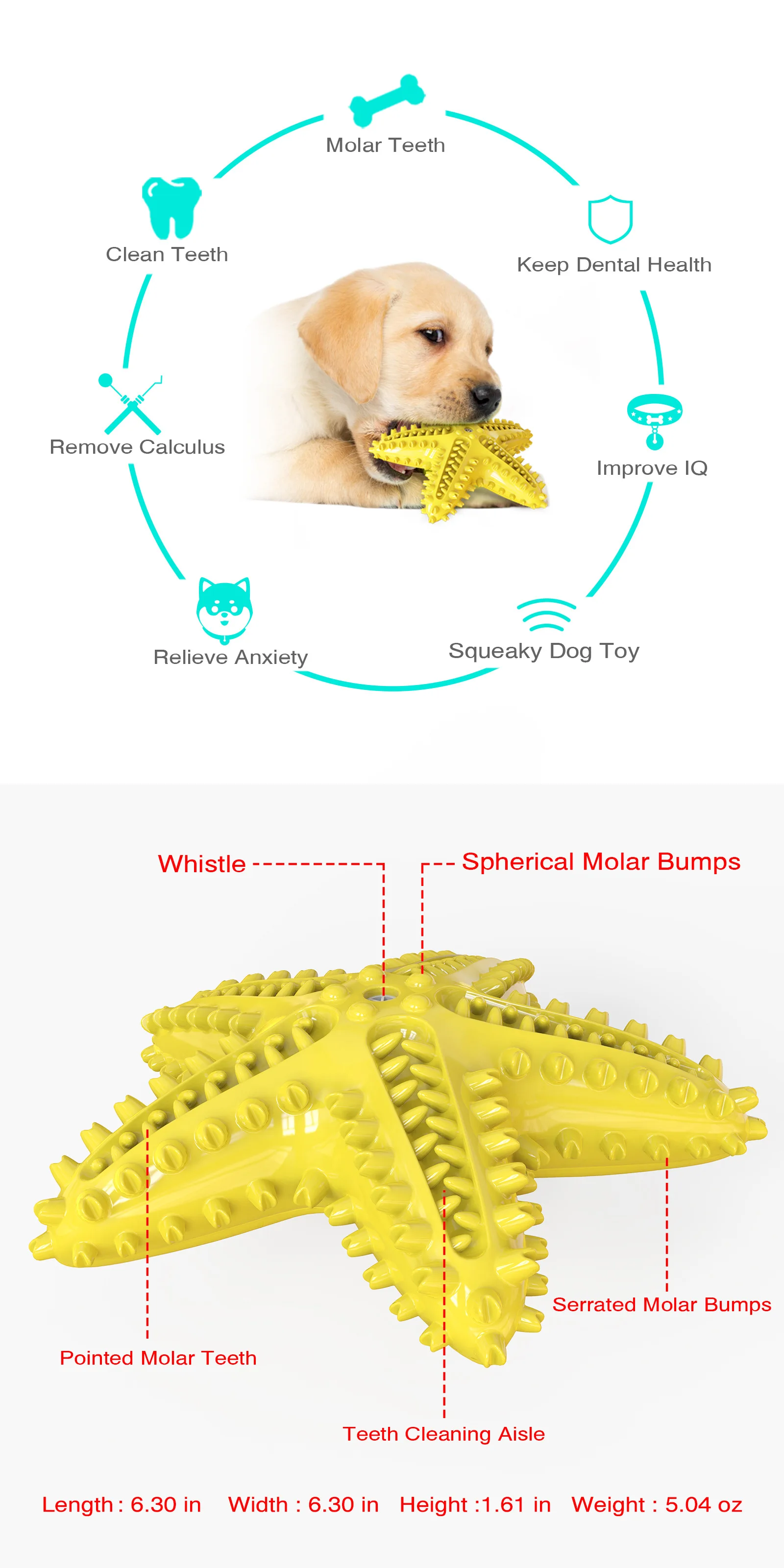 Starfish Design Water Floating Durable Dog Teeth Cleaning Toy - Buy ...