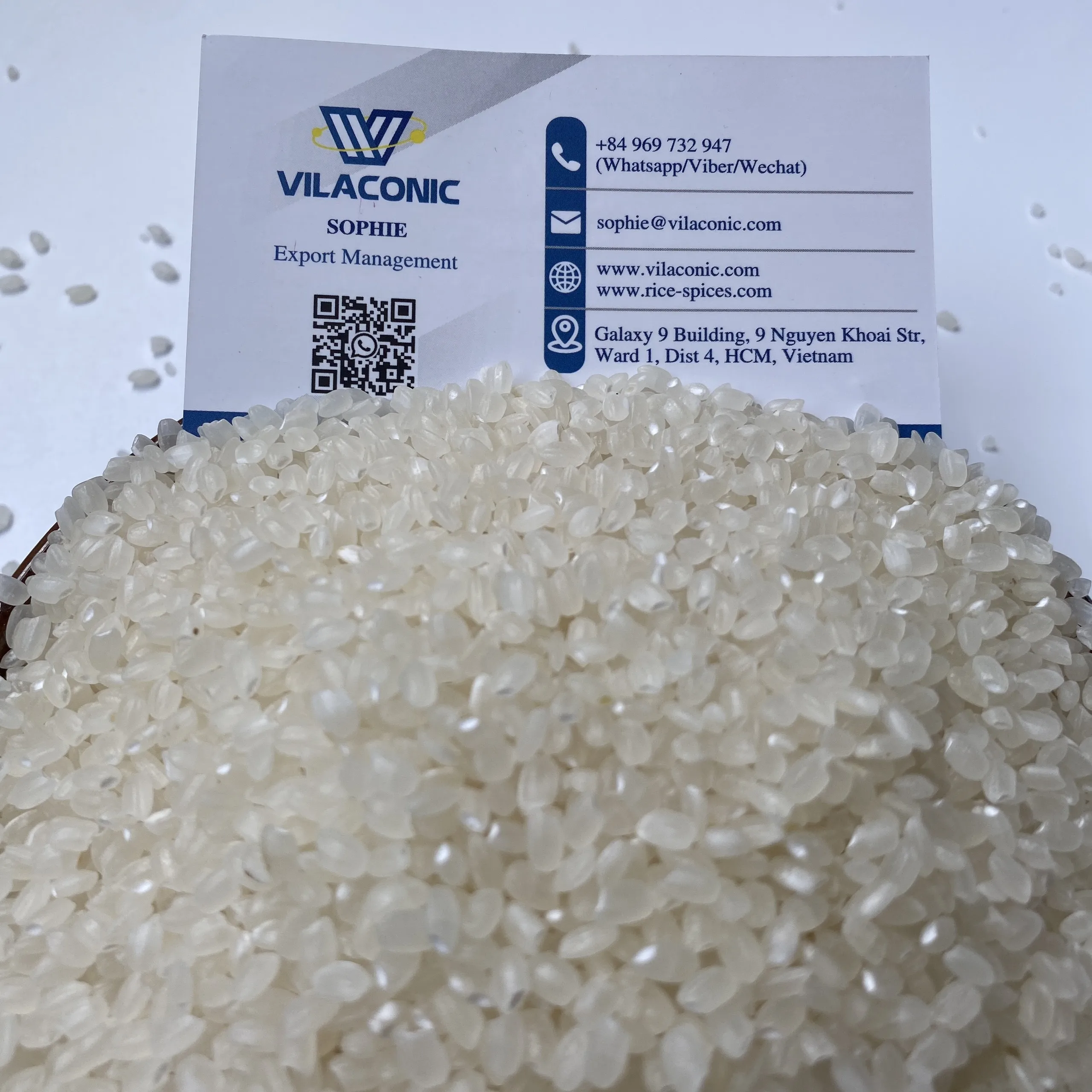 VIETNAMESE JAPONICA/SUSHI/CALROSE RICE/ROUND RICE 5% BROKEN PREMIUM QUALITY GOOD PRICE Vietnam ...
