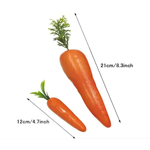 Organic And Sustainable Fresh Vegetable Carrots In Bulk - Buy ...