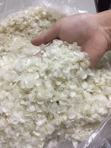 Best Selling 2024 Fish Scales Quality From Vietnam Supplier - Buy Fish ...