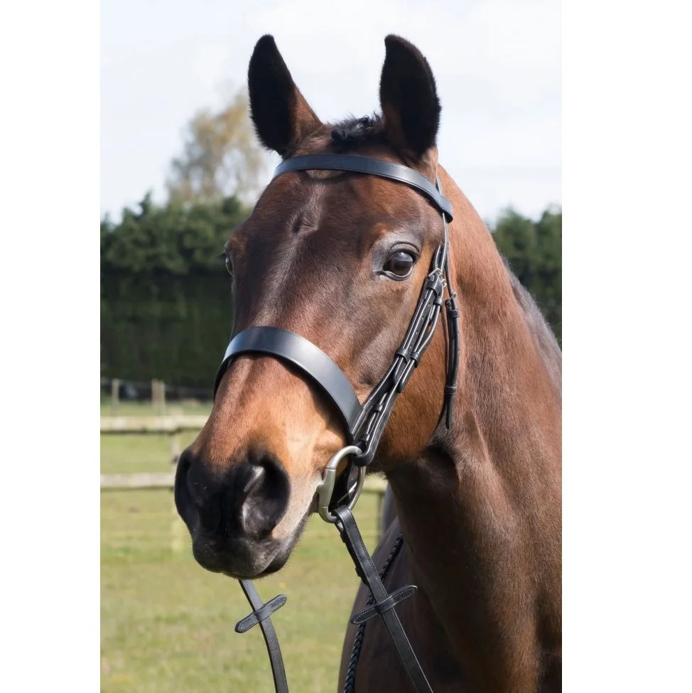 Genuine Stainless Steel Horse Bridle With White Thread Stitching Real ...