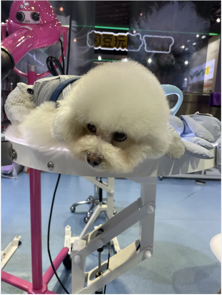 Aeolus Electrical Round Lighting Table Pet Grooming Table with LED ...