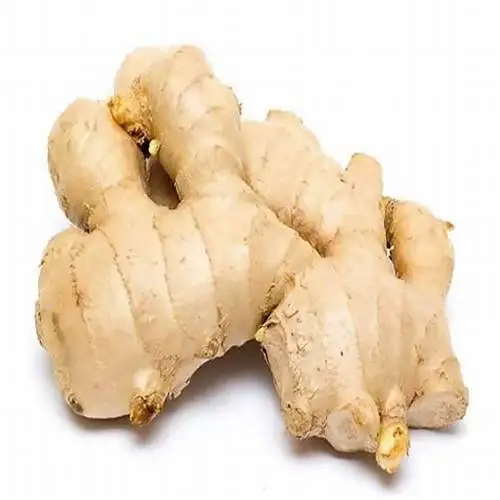 Certified Organic Fresh Ginger from Indonesia - Wholesale