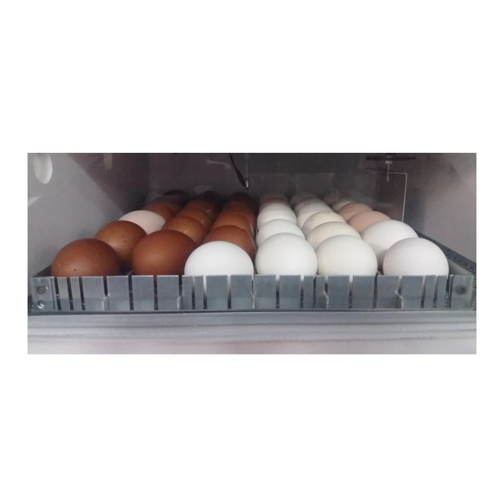 High Quality Made In Italy Full Automatic Small Sized Egg Incubators 36 ...