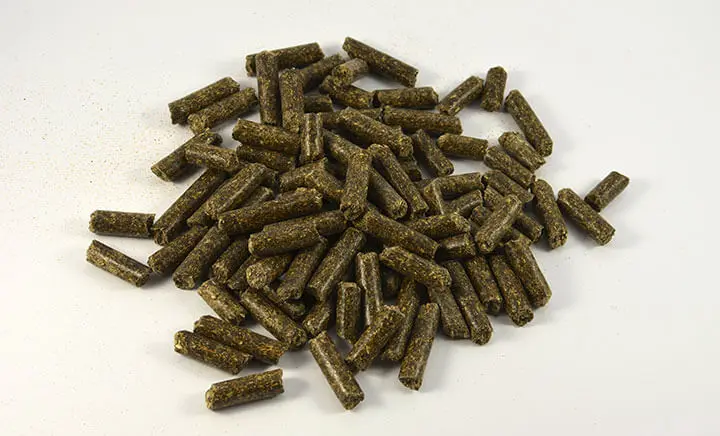 High Quality Pakistani 100% Pure Sunflower Meal For Sale In Bulk ...