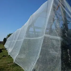 Agriculture Polyethylene Insect 40 Mesh Net Greenhouse Net For Tree ...