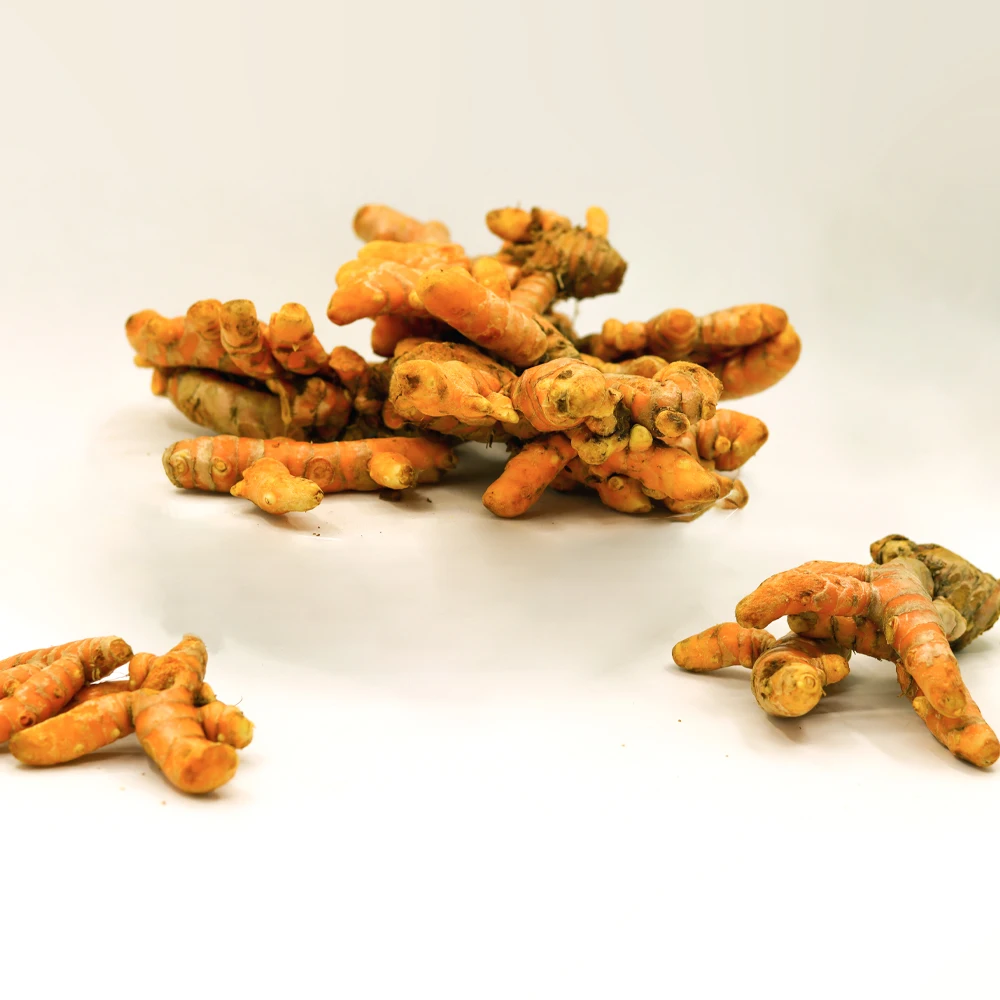 Best Selling In Viet Nam High Quality 100% Natural Fresh Tumeric At ...