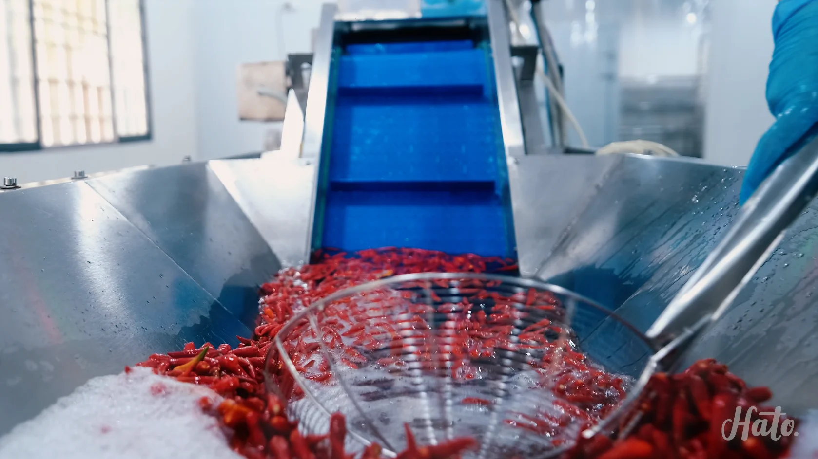 Super Spicy Dehydrated Whole Chilli Vietnamese Chilli Dried Style ...