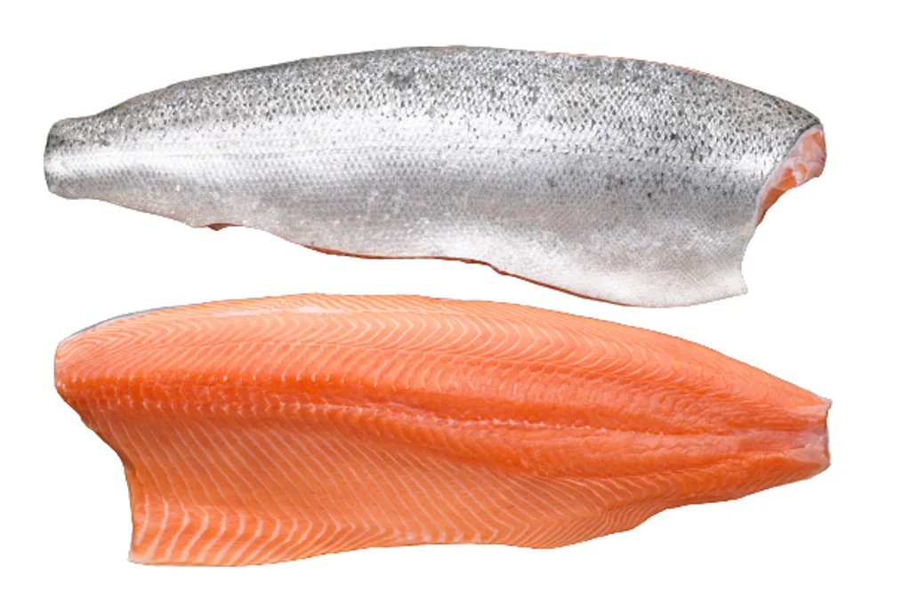 Natural Fresh Premium Salmon Fillets For Sale - Buy Natural Fresh ...