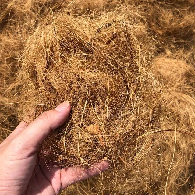 Alibaba.com: Coco Fiber Raw 100 kg/bale, 18-25% moisture, natural ...