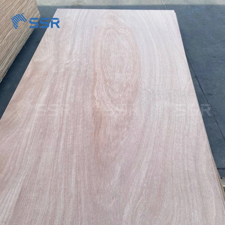 SSR VINA - Premium Birch Plywood for Construction & Flooring