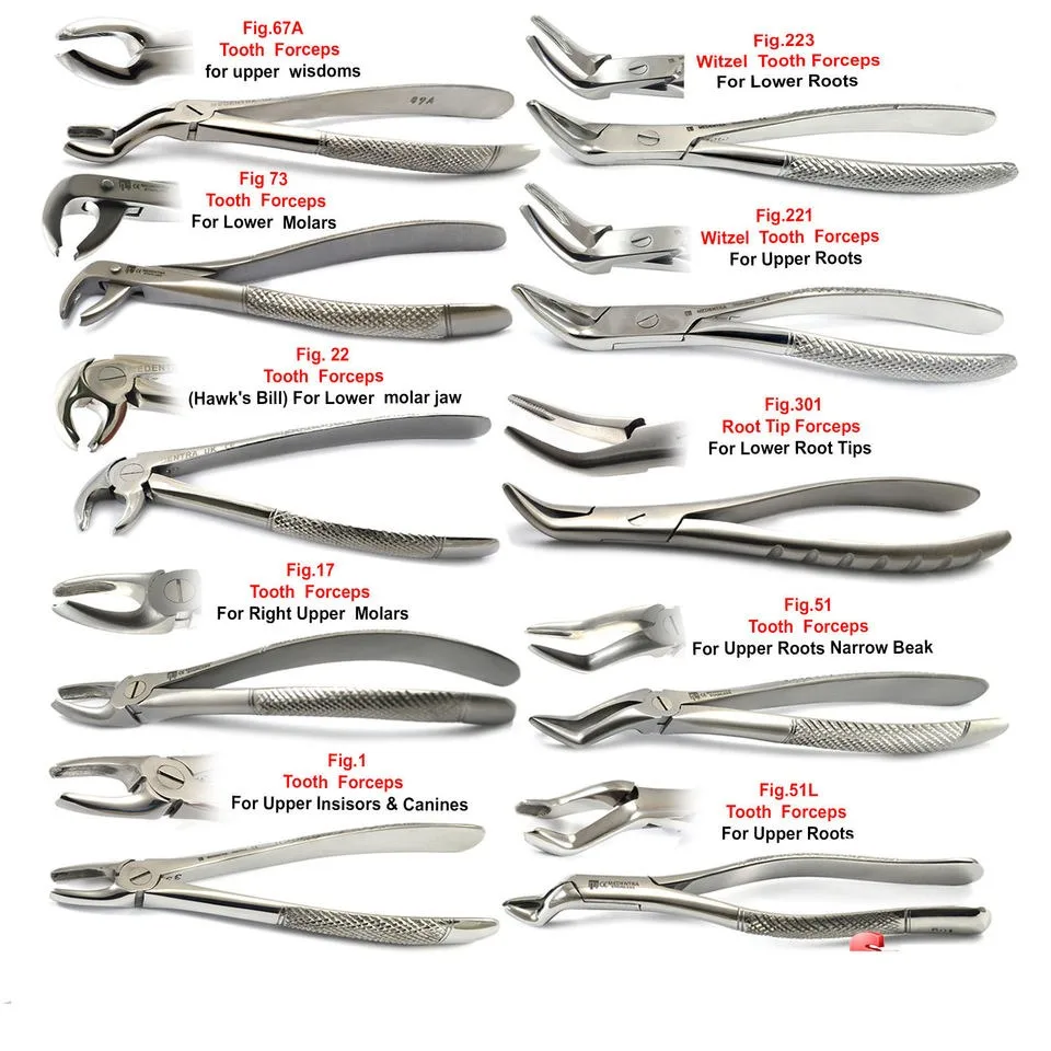 优质钢制手动牙钳，用于拔牙和根松动下/上磨牙可重复使用| Alibaba.com