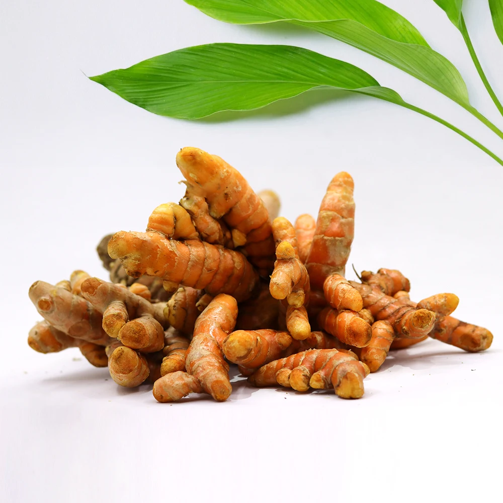 Best Selling In Viet Nam High Quality 100% Natural Fresh Tumeric At ...