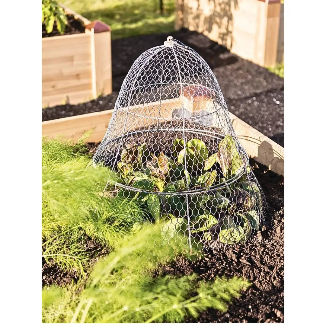 Metal Wired Garden Wire Cloche With Extension For Protection And ...